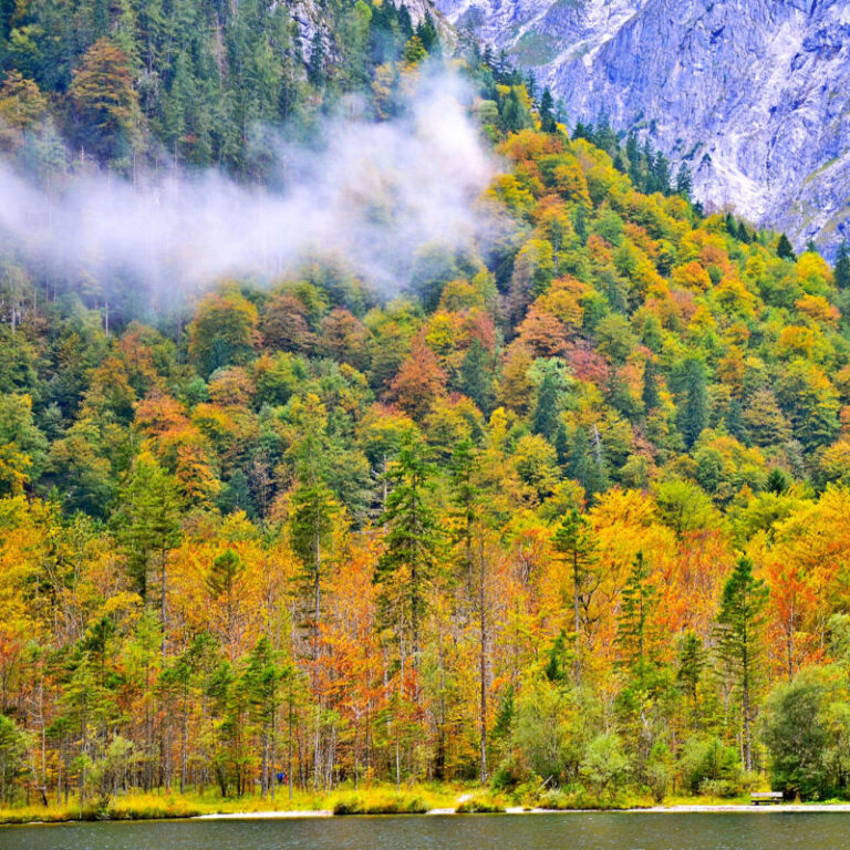Why This Is The Most Stunning Fall Destination In The U.S. This Year ...