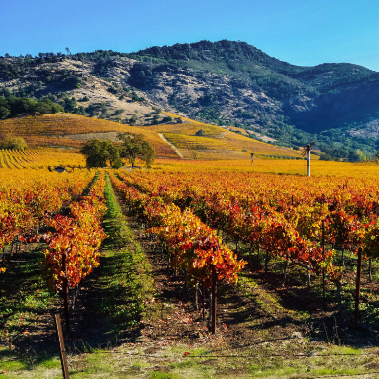 5 Underrated U.S. Destinations To See The Best Fall Foliage This Year ...