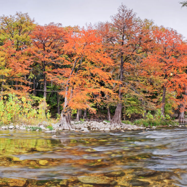 5 Reasons Why Fall Is The Perfect Time To Visit This Trendy Texas City ...