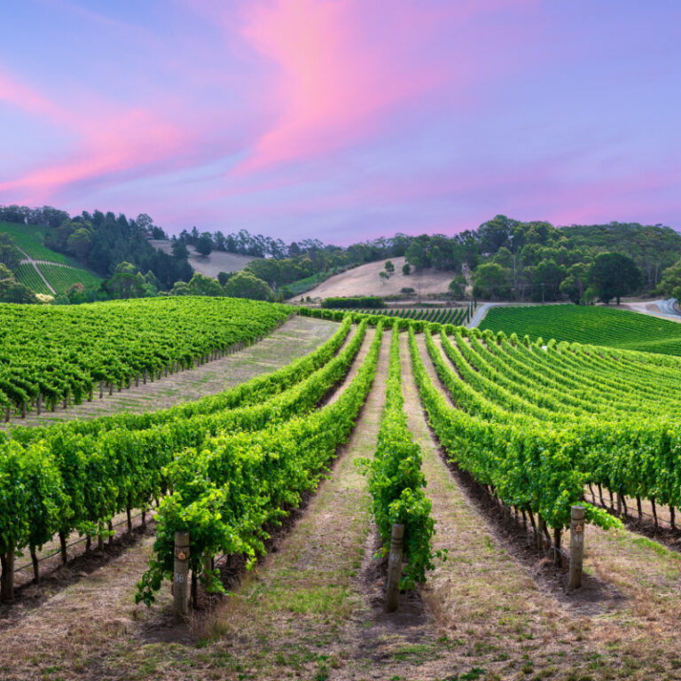 Adelaide hills Australia - Travel Off Path