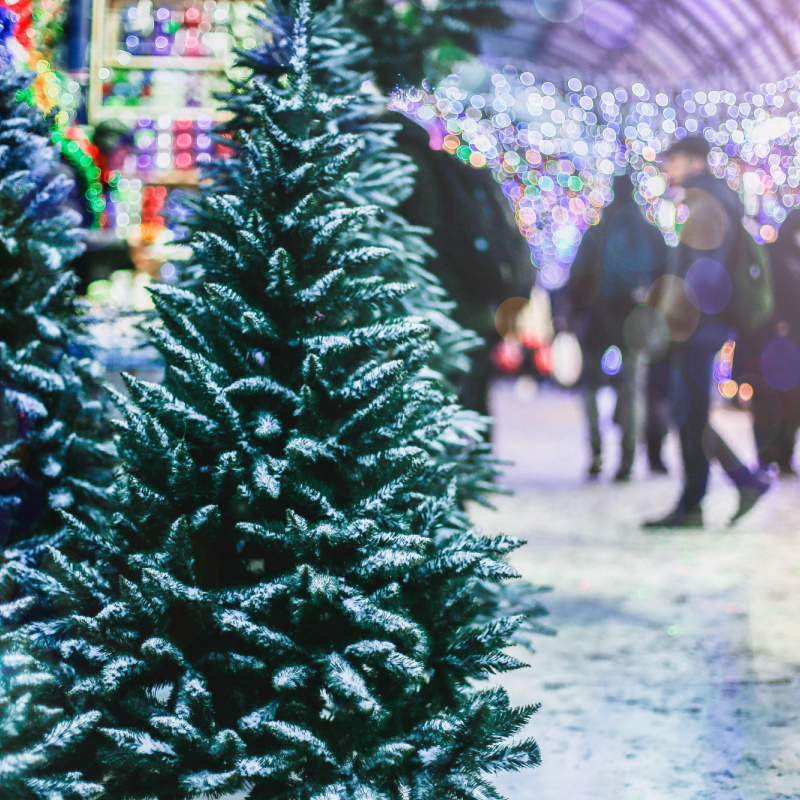 Christmas trees at a festive fair - Travel Off Path