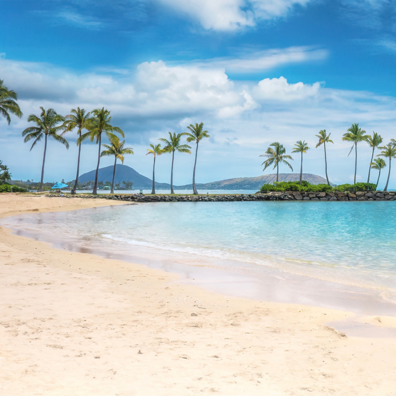 Honolulu-beach-palm-trees-azure-water - Travel Off Path