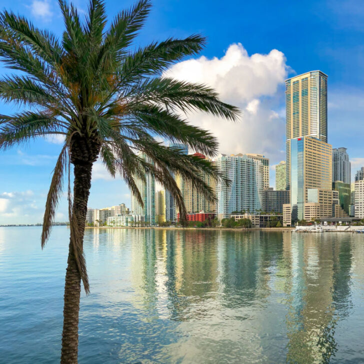 Miami-skyline-palm - Travel Off Path