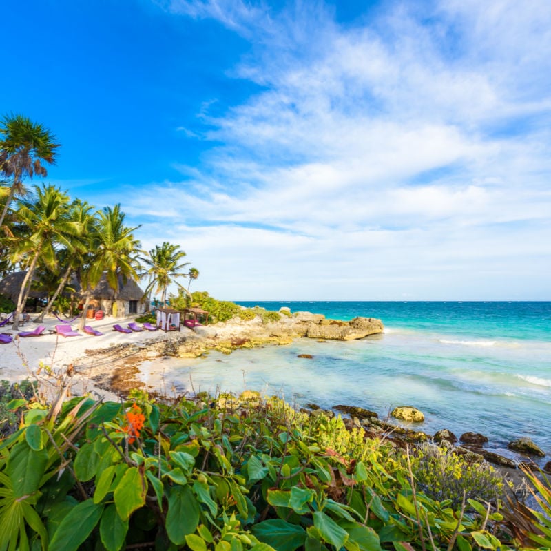 Mexican Beach With Palm Tree and Flowers Near Tulum - Travel Off Path