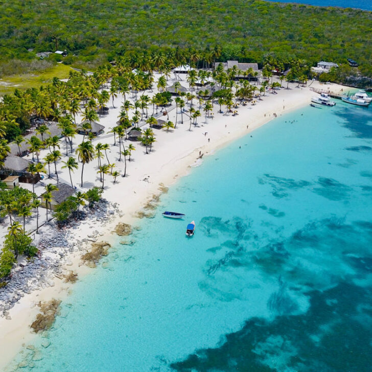 These 3 Stunning Islands Are The Most Popular To Visit In The Dominican ...
