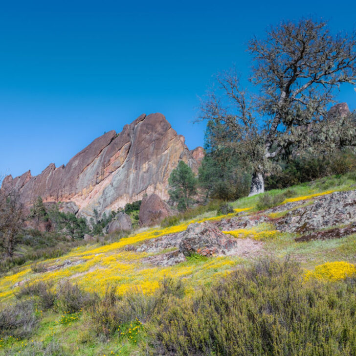 These Are The Top National Parks For Your Chance To See The Spring ...