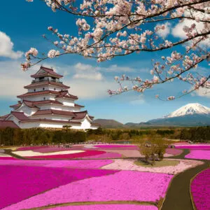 Spring Season in Japan - Travel Off Path