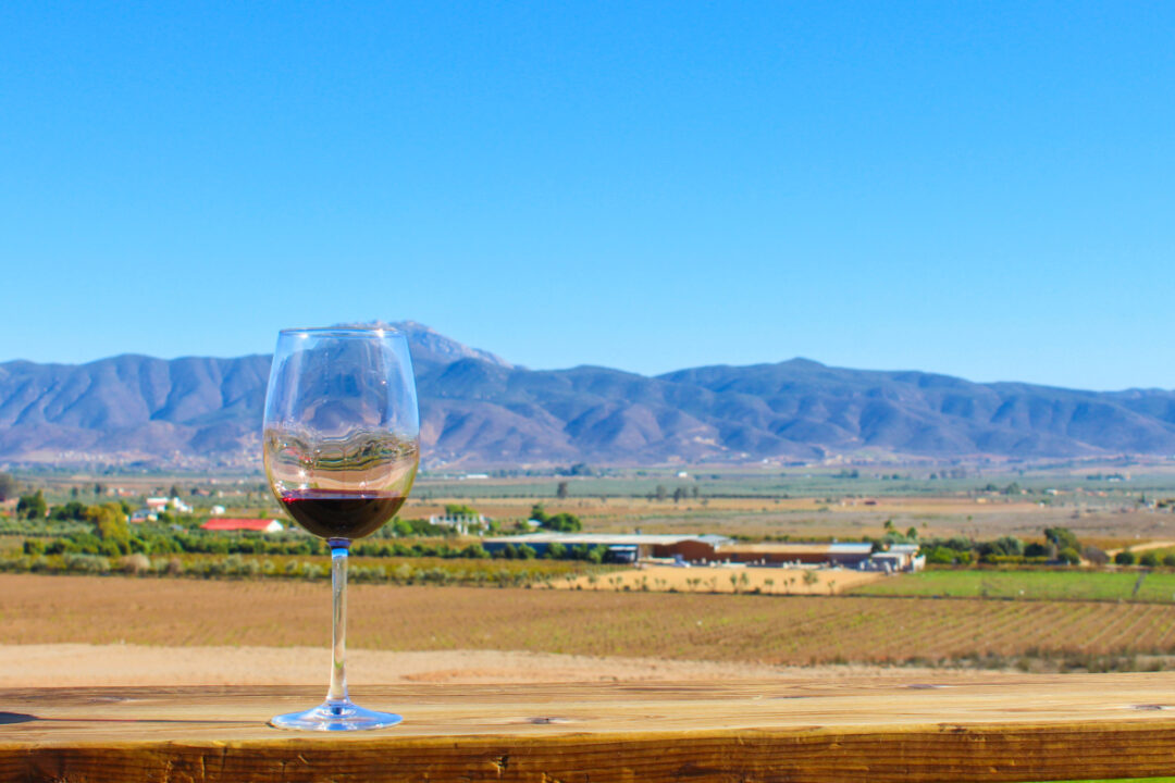 Uncover Mexico's Affordable Wine Escape: The Napa Valley of Mexico ...