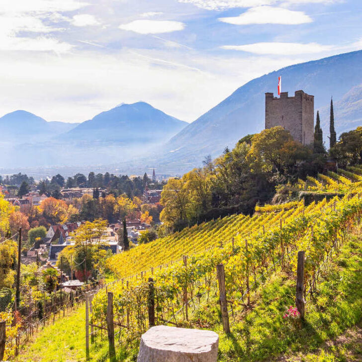 This Forgotten Alpine Region Of Italy Is The Perfect Alternative To The ...