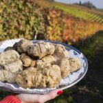 Explore Italy’s Most Delicious Regions On This New Train Route - Travel ...
