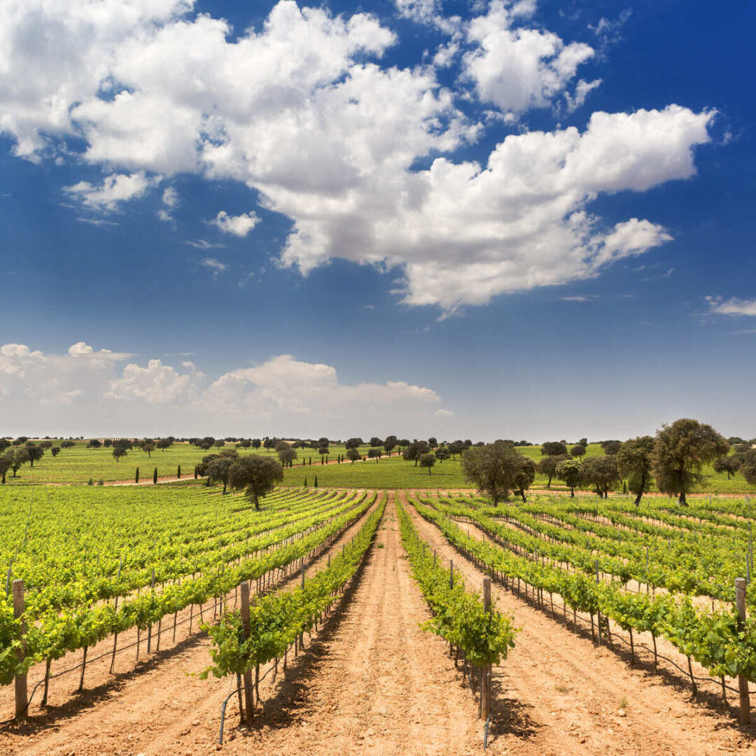 Skip The Crowds! This Hidden Spanish Region Is Like Tuscany & Full Of ...