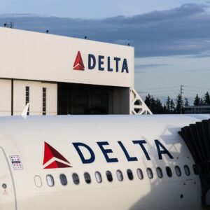 No More Lines! Delta Launches New 'Bag Drop' Tool For Travelers ...