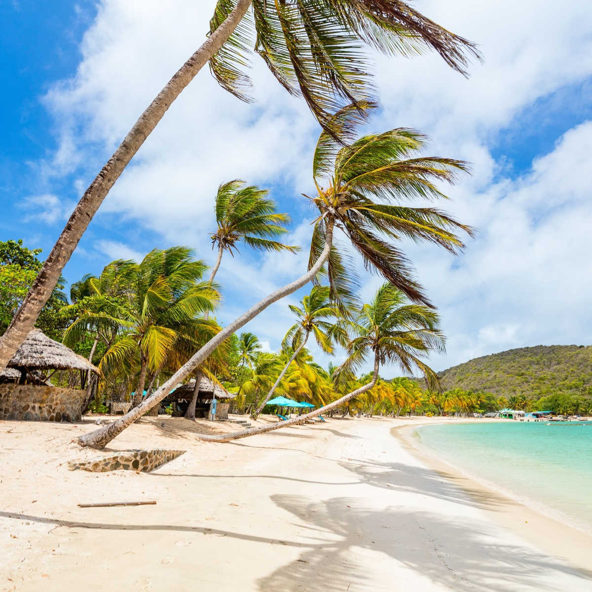 Idyllic tropical beach with white sand, palm trees and turquoise ...
