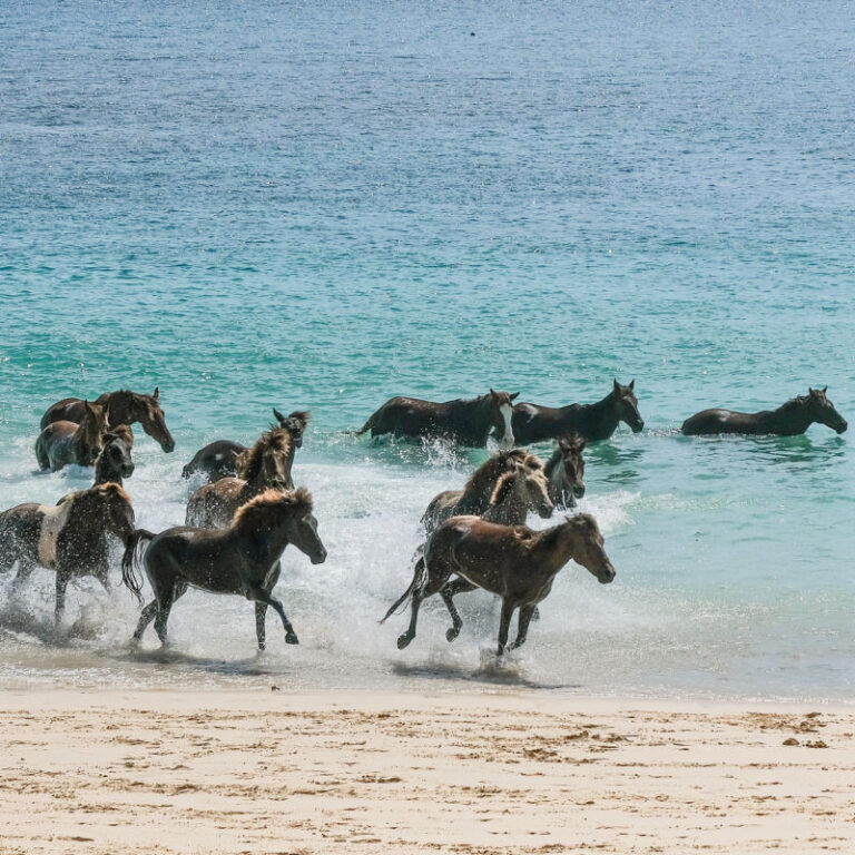 Lavish Beach Resorts & No Bali Chaos: Visit Indonesia's Stunning Up-And ...