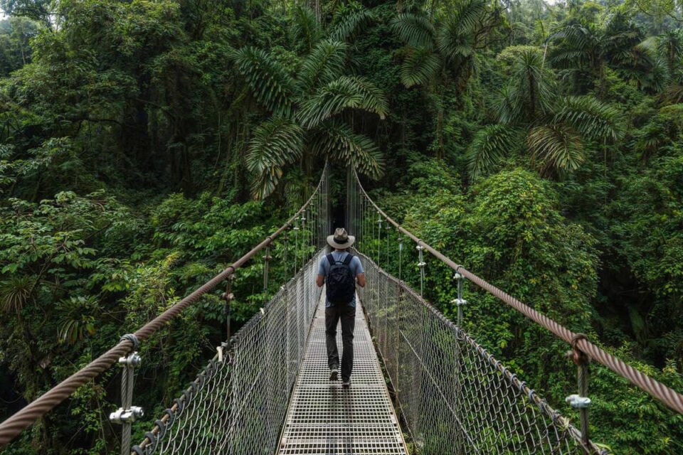 Unspoiled Nature & Tropical Adventures: This Central American Country ...