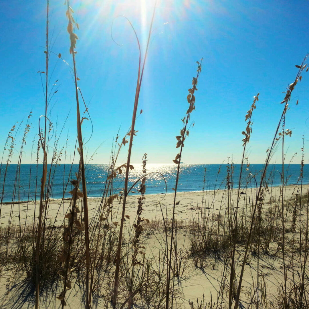 Unveiling Alabama's White Sand Paradise - It's Not Gulf Shores ...
