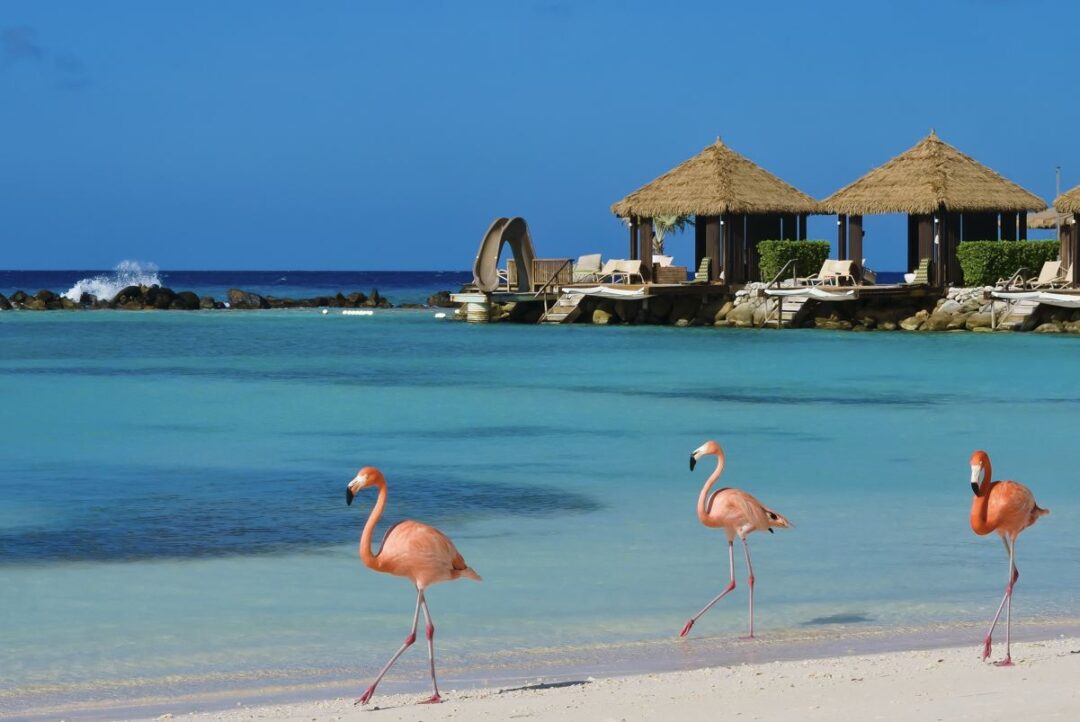 Aruba Entry Requirements For US Citizens: The Easy Guide - Travel Off Path