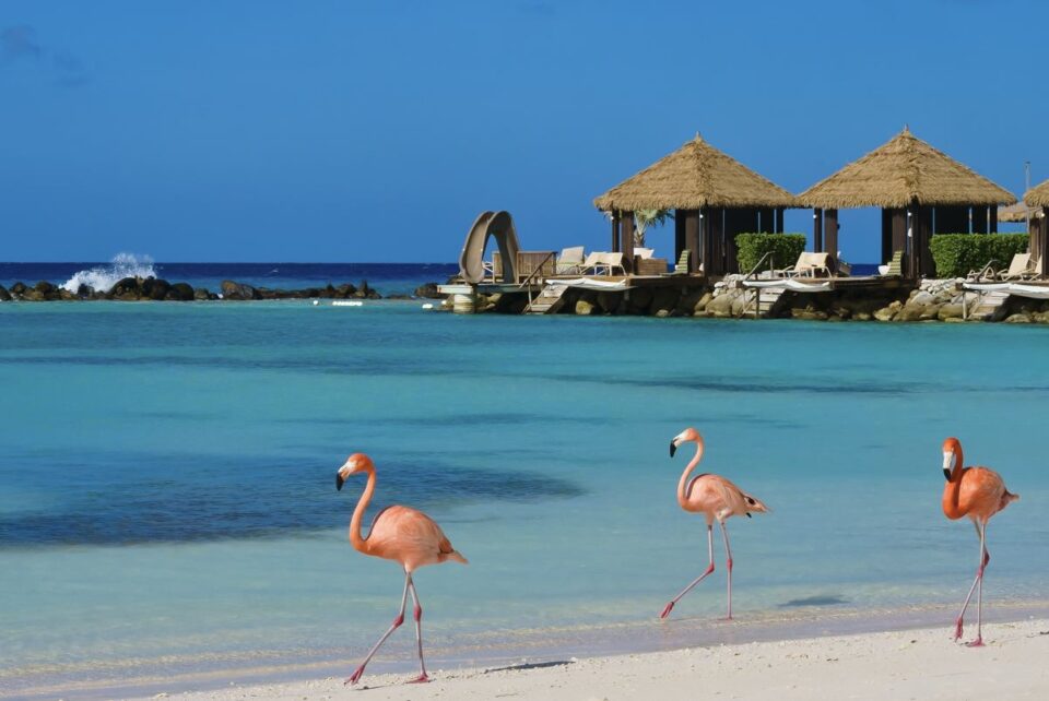 Aruba Entry Requirements For US Citizens: The Easy Guide - Travel Off Path