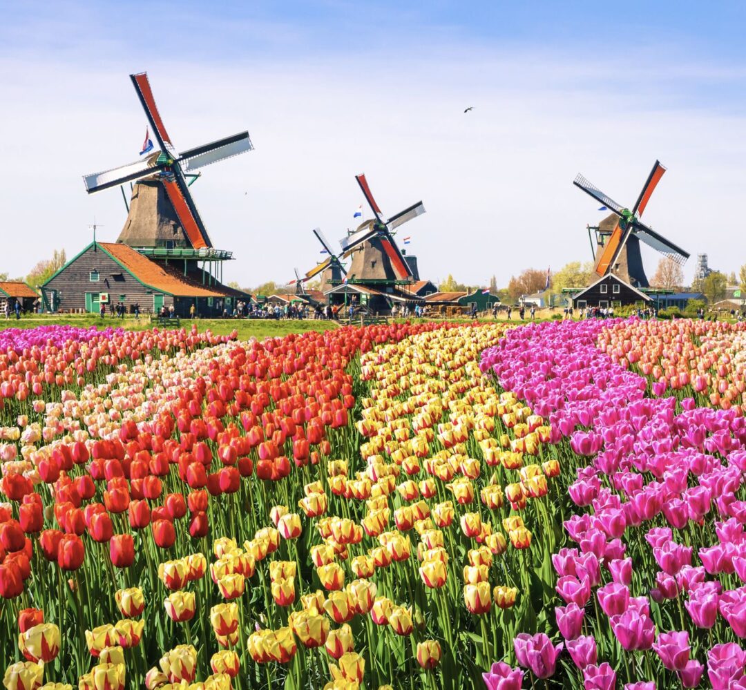 Netherlands Entry Requirements for Americans: A Simple Guide - Travel ...