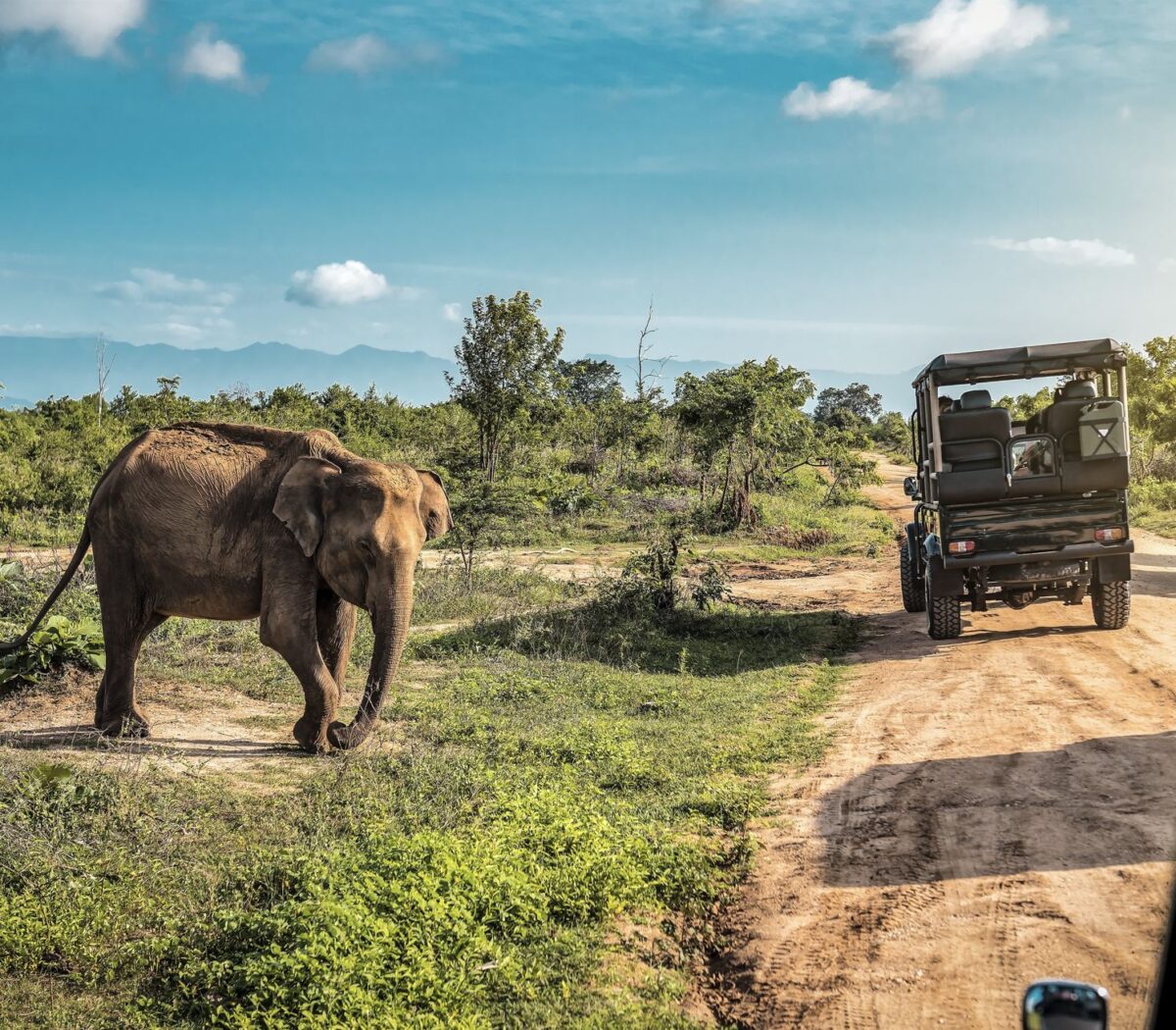 Kenya Entry Requirements For Americans: The Easy Guide - Travel Off Path