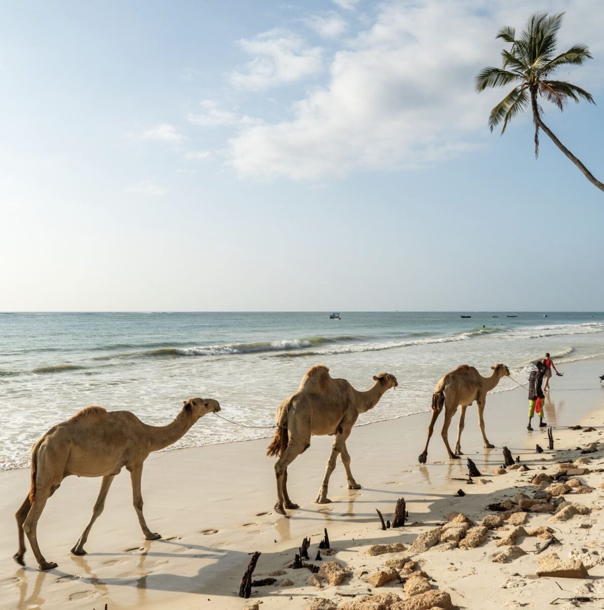 Kenya Entry Requirements For Americans: The Easy Guide - Travel Off Path