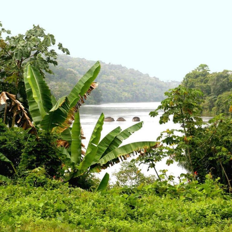 These Are The 4 Safest Countries In Latin America To Visit—Including A ...