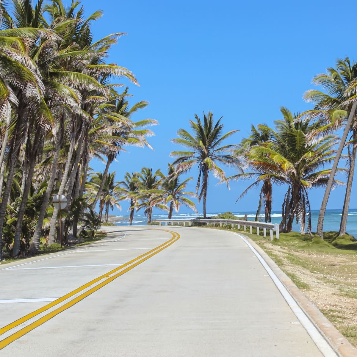 This Surging Caribbean Paradise Is One Of The Cheapest Escapes This ...